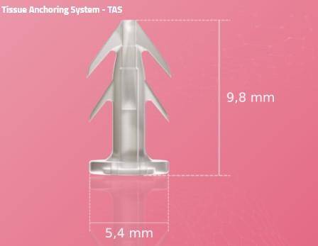 Ancoris Prolaps | Mediq